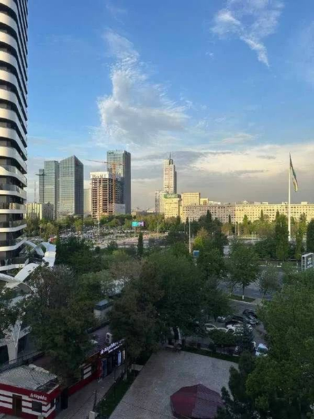 Р/Шайхантахур ор/р метро Дружба 2/6/9 Пл 65 м2 Кирпичная