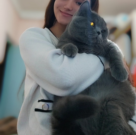 Кот на вязку SOTILMIDI Vyaska (nasl olishga)