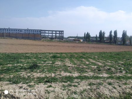 Ер дехкончилик учун ижарага берилади