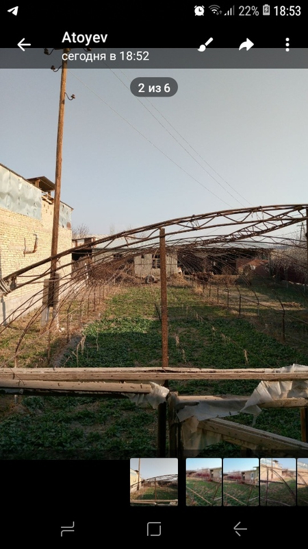 Иссикхона аркалари сотилади