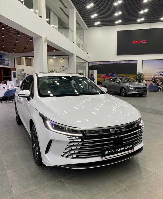 Byd Chazor 2024 Halol Nasiyaga