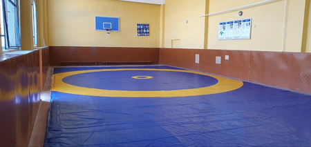 Kurash gilami (борцовский ковёр)