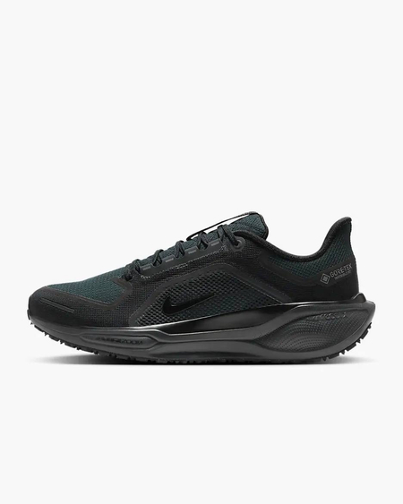 NIKE Pegasus 41 gtx orginal