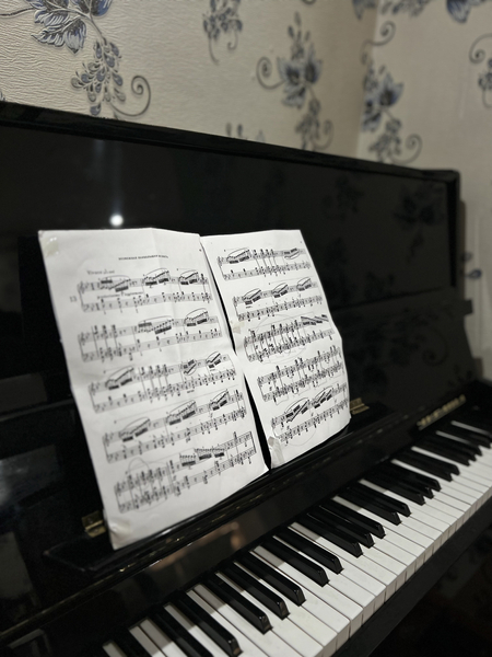 Pianina holati a’lo darajada