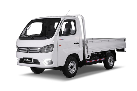 FOTON Truck Mate 1