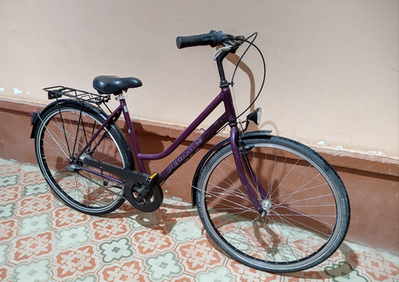 PEGASUS Germanskiy Velosiped