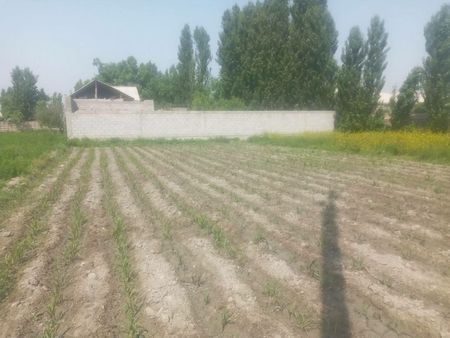Srochniy sotiladi