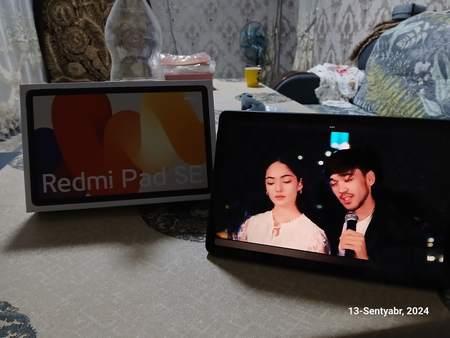 Remdi Pad SE 256 GB
