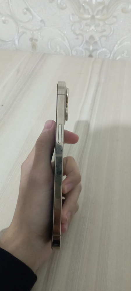 Iphone 12 pro max