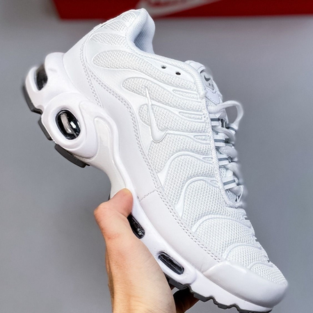 Спортивные кроссовки Nike Tn