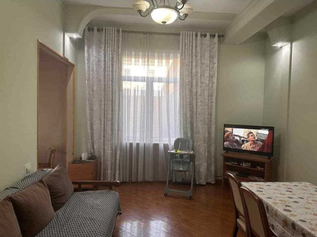 Продаётся Евродом на улице Шота Руставели, 5,5-соток (N 8936)