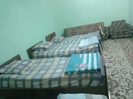 Arzon dacha bor xumsonda