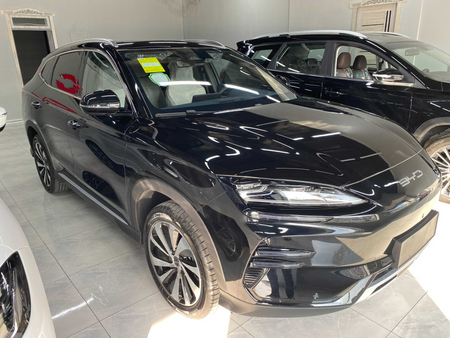 BYD Champion 605 km 2024