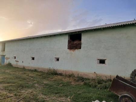 Ferma, molxona sotiladi