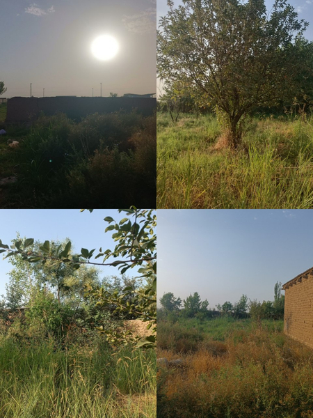 Uy sotiladi manzil seplon  , 18 sotix , 2 xona uy ham qurilgan.