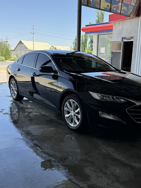 Malibu PREMEIR 2022