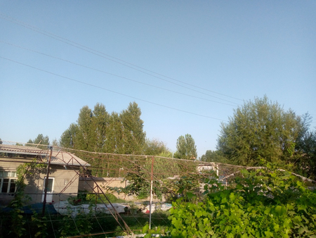 Yaxshi zoʻr narxga yarash srochni