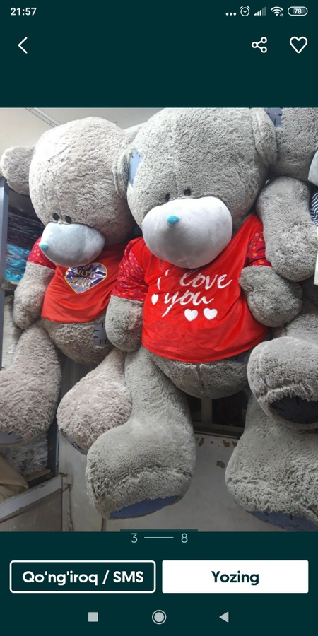 Teddi Tedi Teddiy