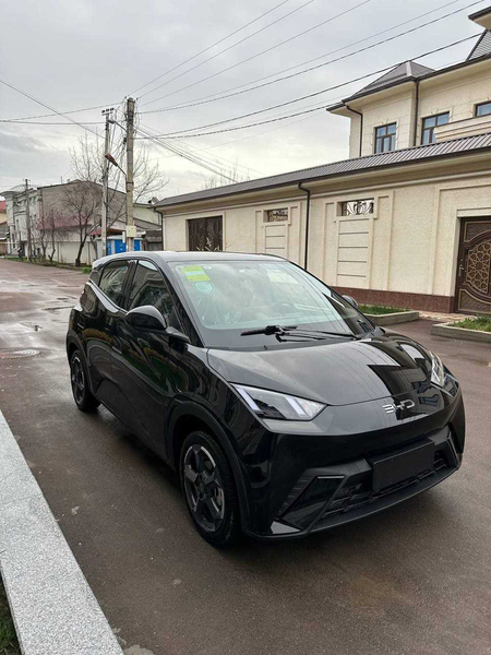 BYD Seagull 2024 аренда с википом