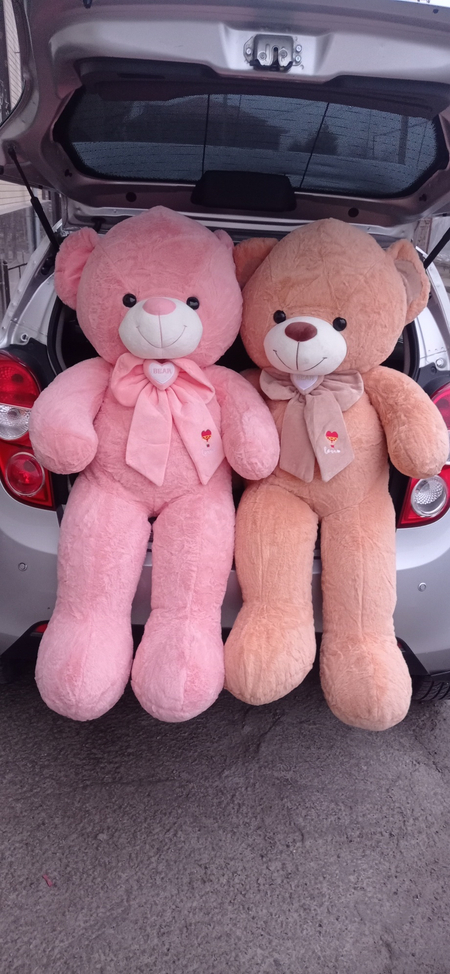 Teddi 1+1 Aksiya Teddy Teddiy