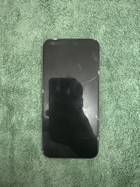 15 Pro Max 256 GB