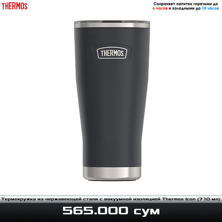 Термокружка из нержавеющей стали с вакуумной изоляцией Thermos Icon