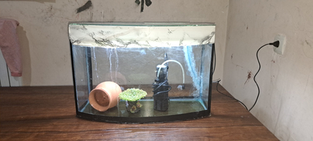 Akvarium аквариум