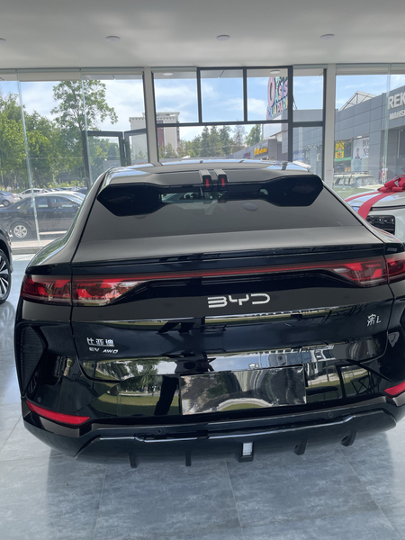BYD Song L 5 позиция