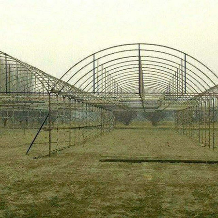 Tom Parnik navec qurish xiizmati