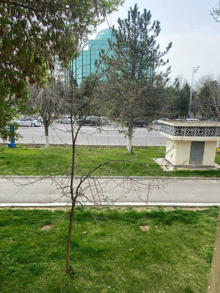 м.Космонавтов Интерпол МВД 2-комнатная 2/3 54 м² кирпич 2х5 м чистая