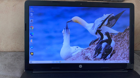 Ноутбук (Laptop) HP 15-da1013ne