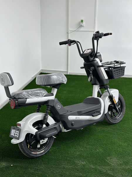 Aima: cool max model