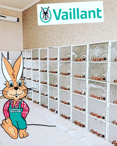 Vaillant service
