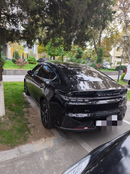 BYD Chazor 120 км, 2-позиция