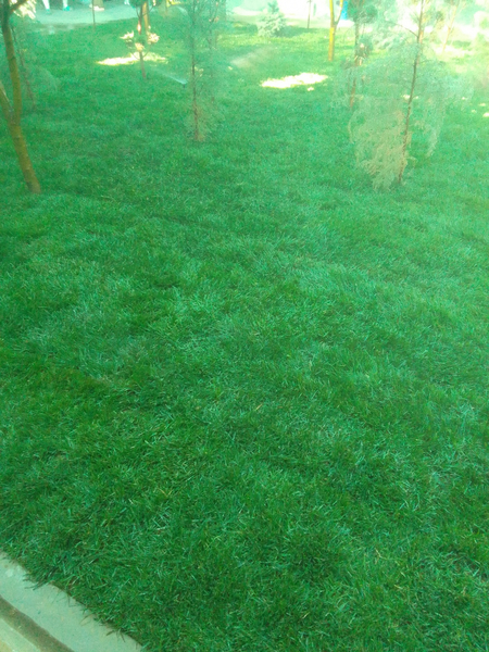 Tabiiy gazoʻn ekamiz sifatiga javob beriladi