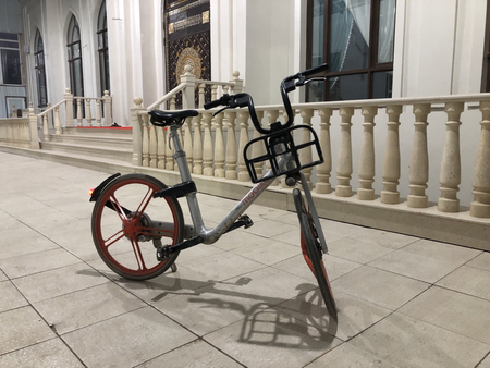 Velik Alumin saka bez kamer