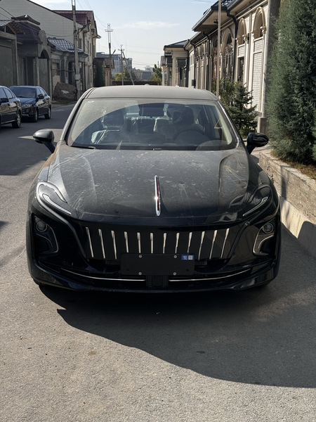 hongqi e-qm5 2024