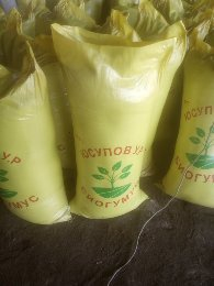 Недорого биогумос и другие биоудобрения.