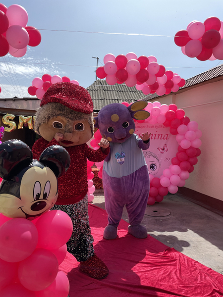 Ayiq Teddy Mikki. Айиқ Теддй Микки. Shar ofarmleniya Шар офармления