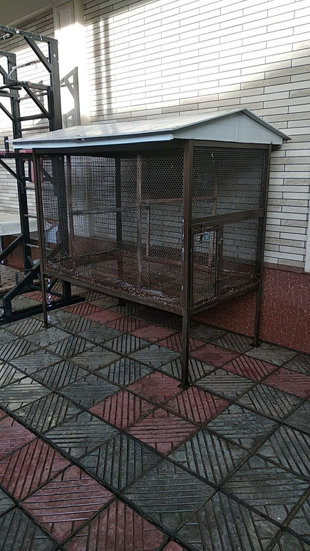 Qush boqishka Kotta In (VALER) 
xolati zo'r,
 tepasi loy qlingan suvog