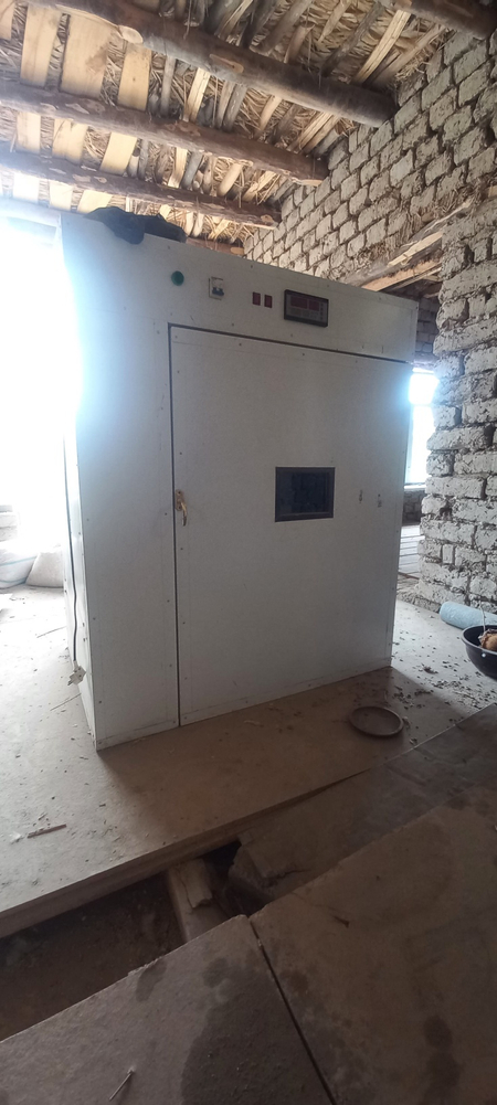 Inkubator Yangi ishlatilmagan 1000 ta tuxum ketadi