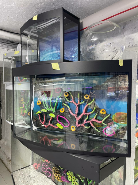Akvarium magazin AquaTerra