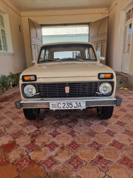 Niva holati idyal