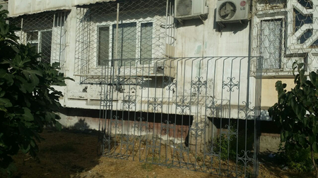 Reshotka naves kaziroq perilla