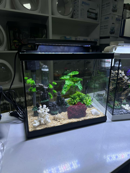 Akvarium xitoy new