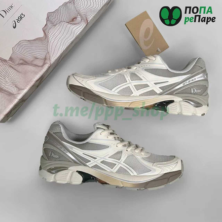 ASICS GT-2160 Dime Arctic Wolf