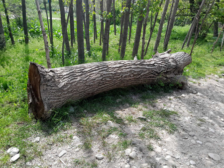 Yog'och (kunda) mebelni