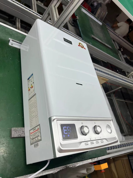 Газовый котел двухконтурный Everel