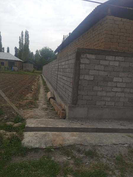 Сувок стияшка тиранша