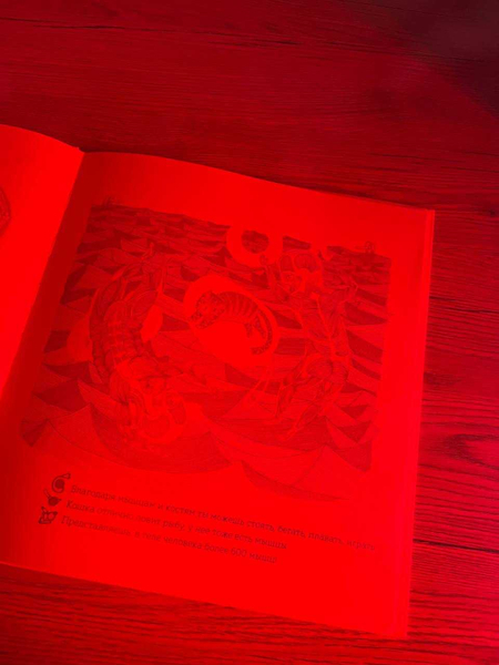 Книга Что у меня внутри